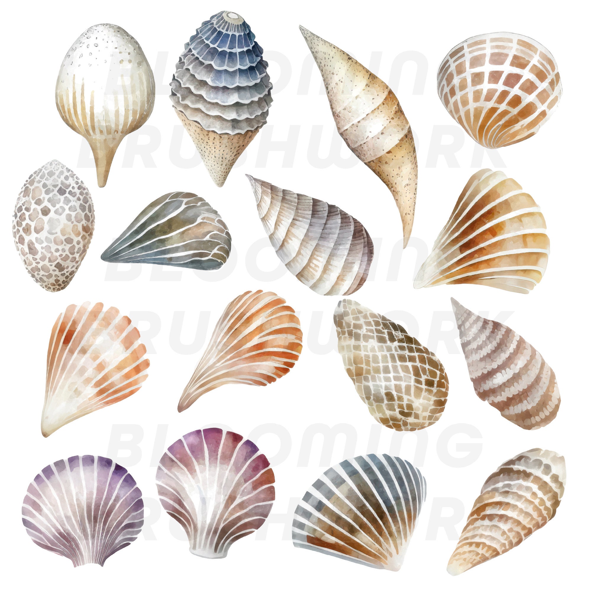 Light Watercolor Seashells Clipart, Ocean Beach Clip Art, Sea Shells ...
