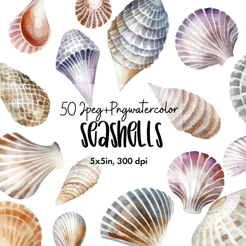 Light Watercolor Seashells Clipart, Ocean Beach Clip Art, Sea Shells ...
