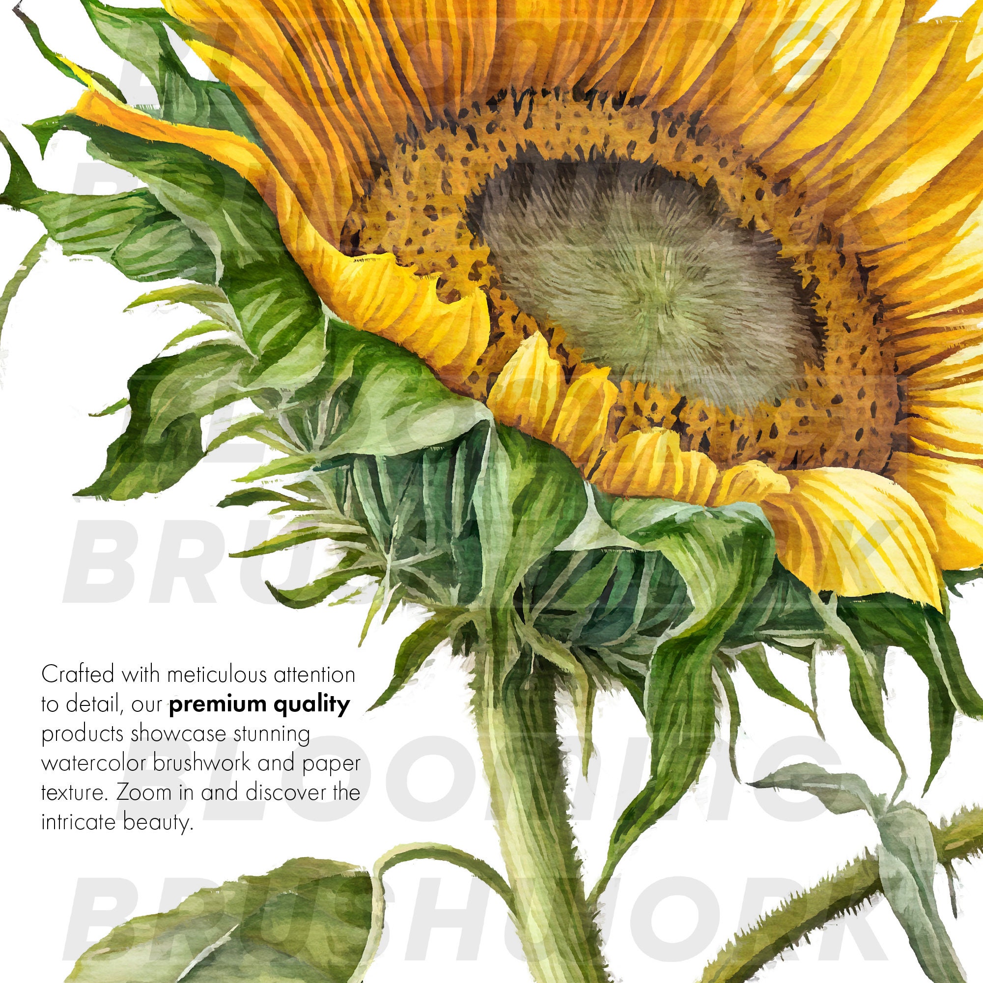 Premium Watercolor Sunflower Printable Set of 4, Botanical Wall Art ...