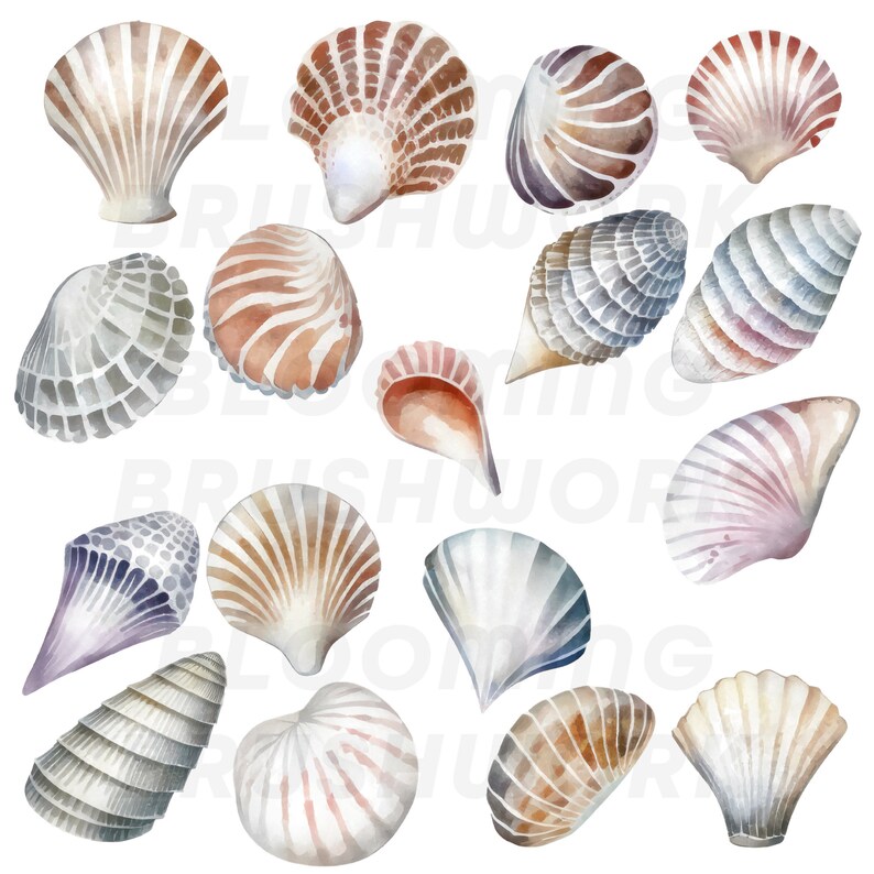 Light Watercolor Seashells Clipart, Ocean Beach Clip Art, Sea Shells ...