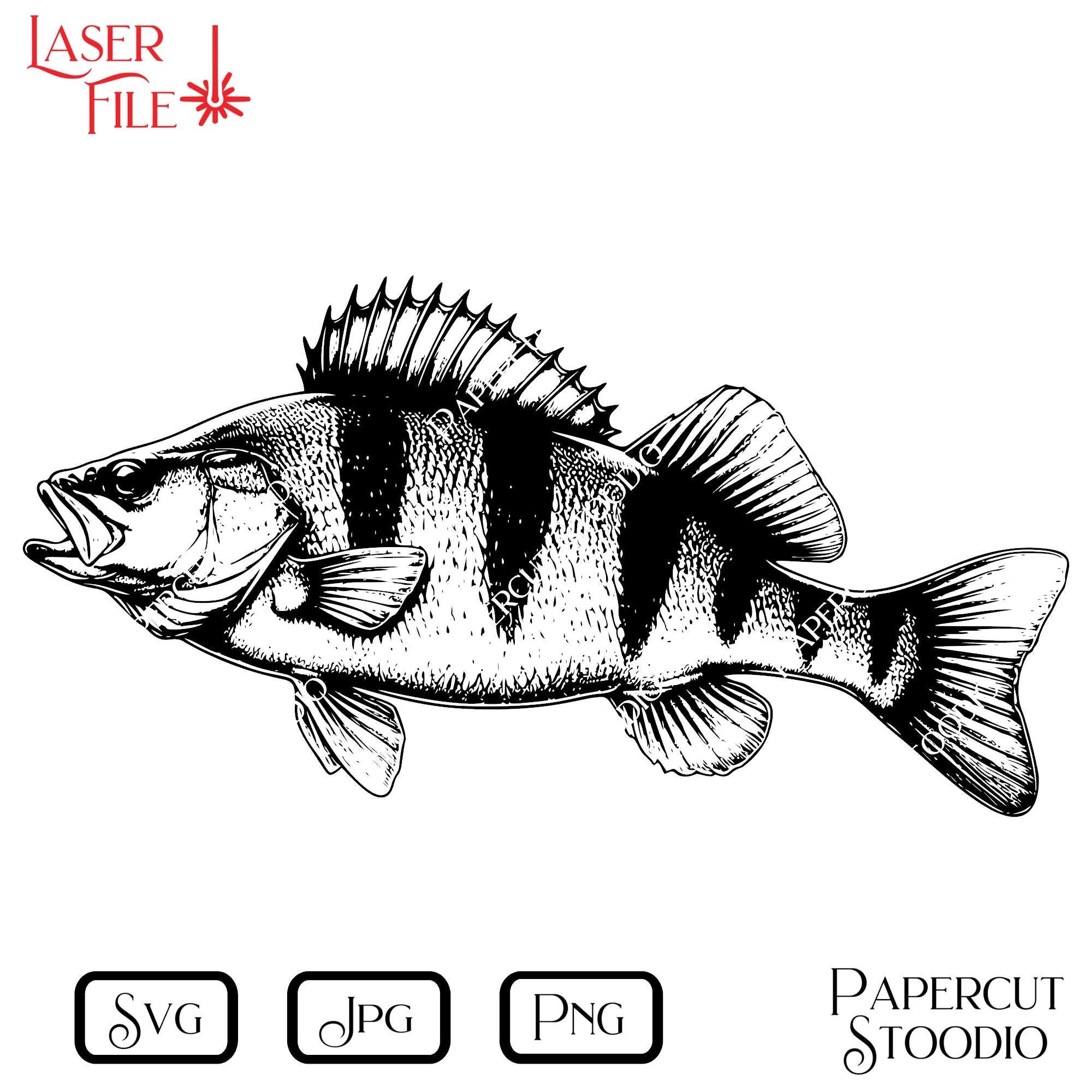Laser Engrave File, Perch Fish SVG, Lightburn Glowforge Signs Cutting ...