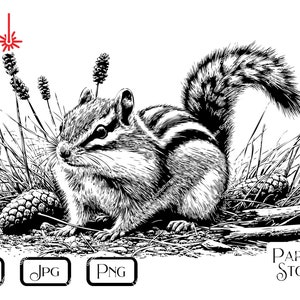 Chipmunk Forage Laser Engrave File, Wood Art SVG PNG JPG (digital ...