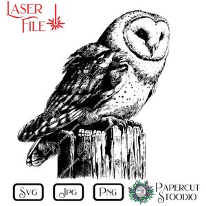 Laser Engrave File, Barn Owl Post SVG, Bird Cutting Board, Address ...