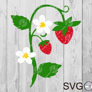 Strawberry Blossoms SVG, Fruit Berry Flower Cricut Flowers Digital ...