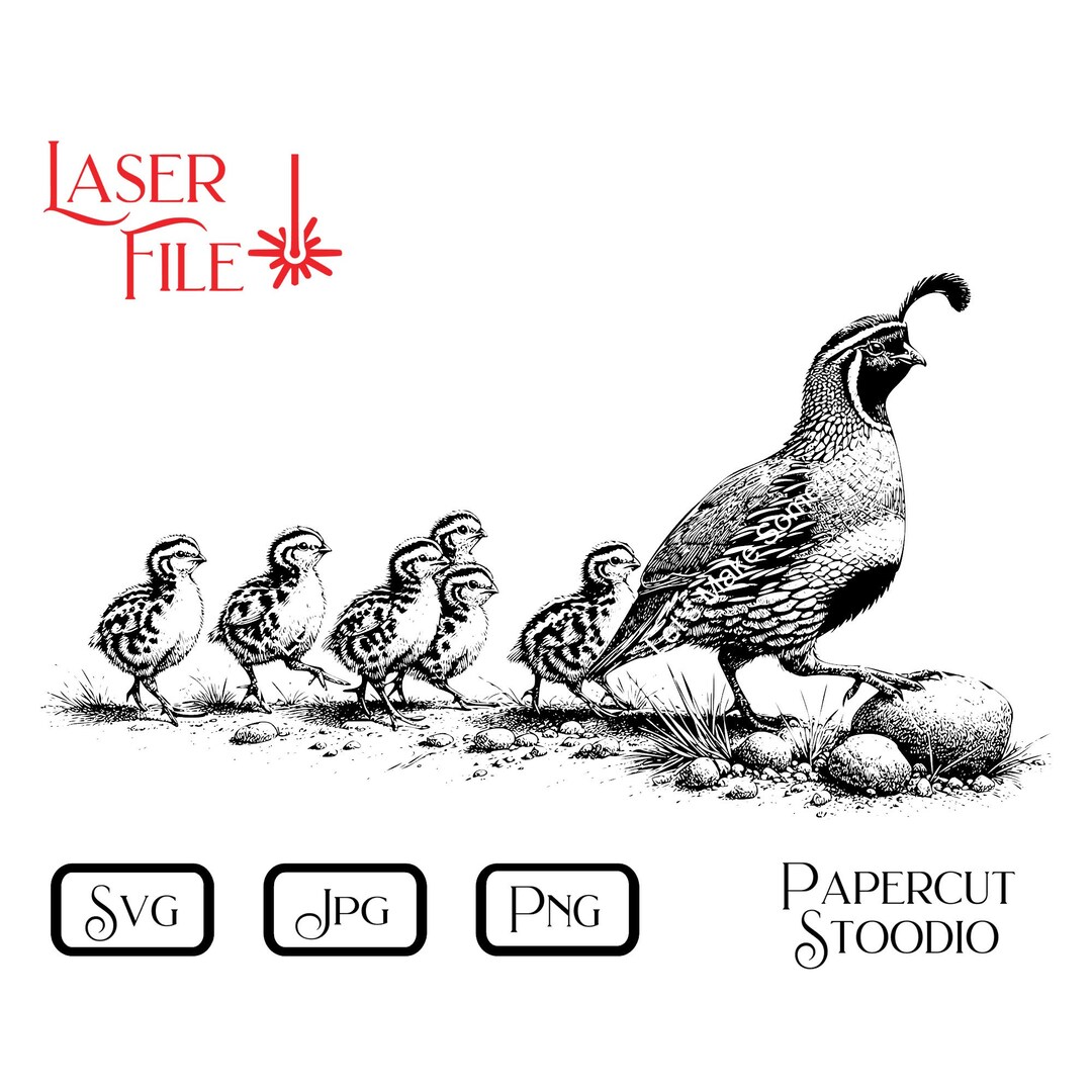 Laser Engrave File, California Quail Chicks SVG, Lightburn Glowforge ...