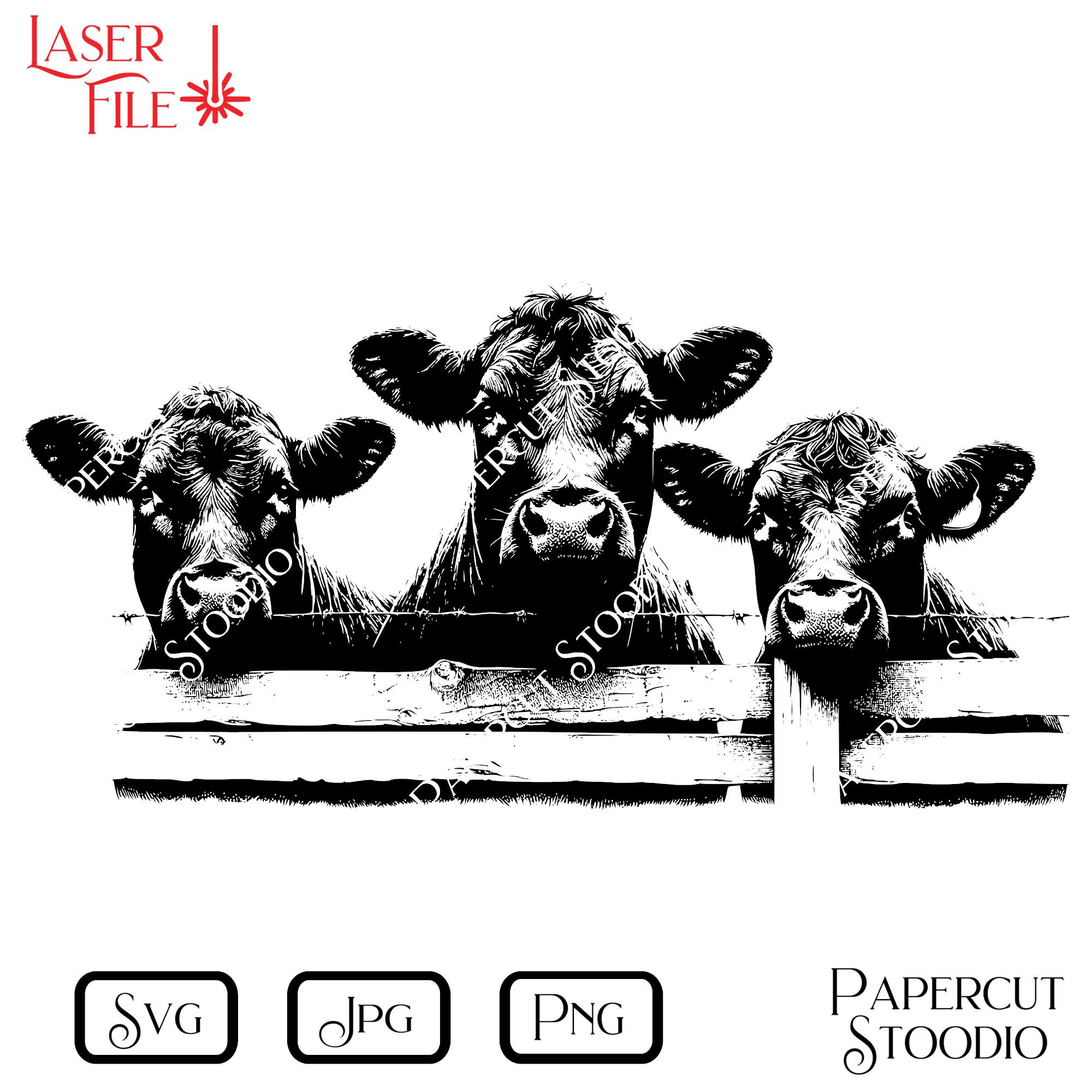 Laser Engrave File, Black Angus Trio SVG, for Lightburn Glowforge DIY ...