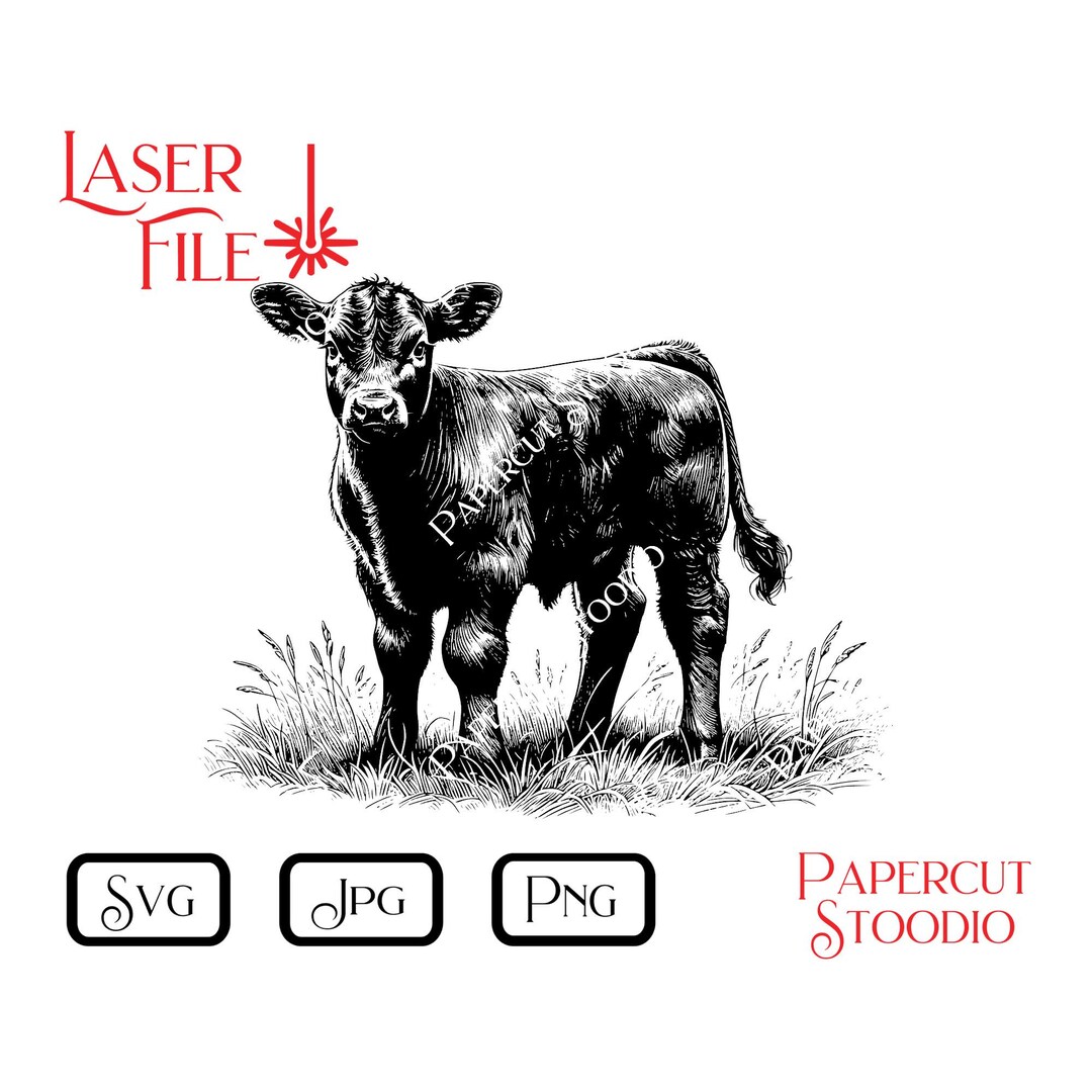 Black Angus Calf 2 SVG, Laser Engrave File, Lightburn Glowforge Digital ...