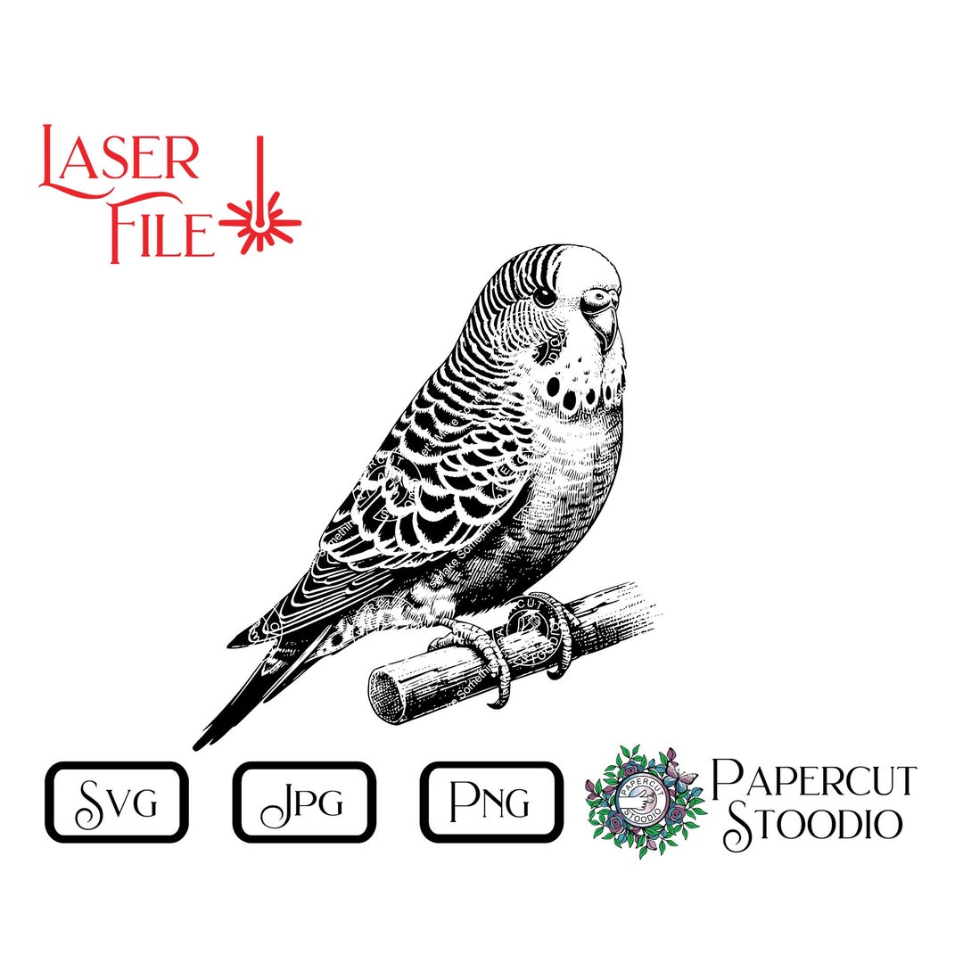Laser Engrave File, Budgie SVG, Lightburn Glowforge to Make Signs ...
