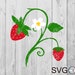 Strawberry Blossoms SVG, Fruit Berry Flower Cricut Flowers Digital ...