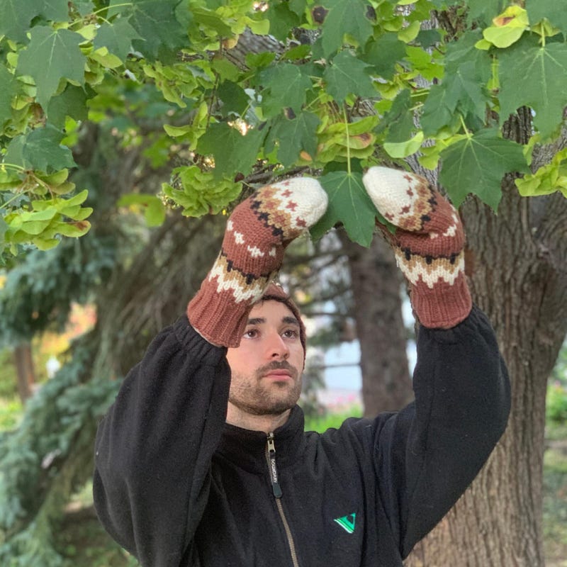 Bernie Sanders Mittens - Etsy