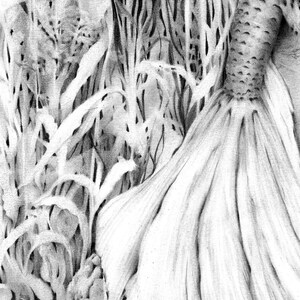 Water Elements Fantasy Art Print Grace Kerr - Etsy
