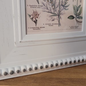 Botanical Plant Art Florist Decor Distressed Picture Frame Cafe Herb ...