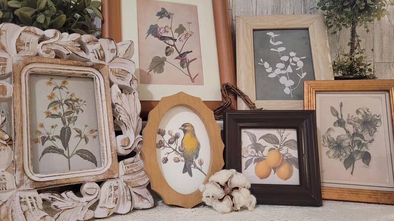 Vintage and Modern Picture Frames: Nursery, Botanical, Cottage Core ...