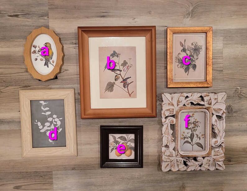 Vintage and Modern Picture Frames: Nursery, Botanical, Cottage Core ...