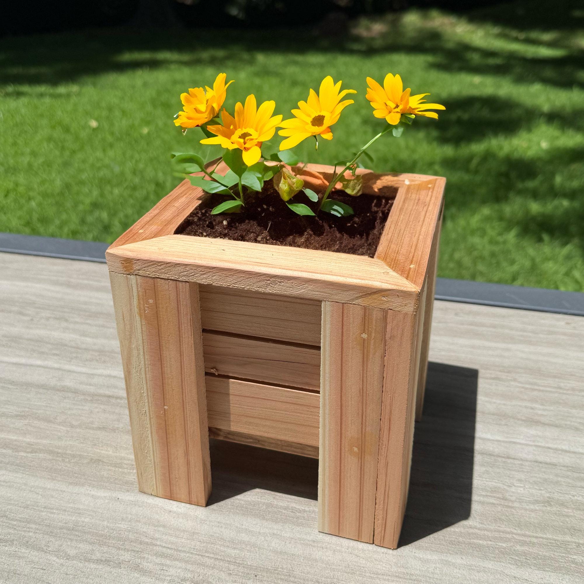 Mini Cedar Planter Box | Rustic Handmade | Indoor Outdoor Decor ...