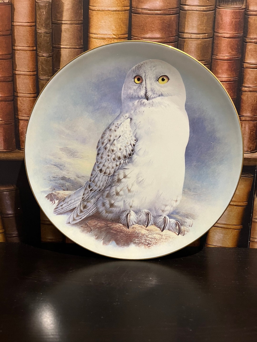 Limoges France ‘snowy Owl’ Limited Edition Collectors Plate - Etsy