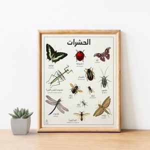 Arabic Insects Poster Downloadable Prints Educational Kids Children ...
