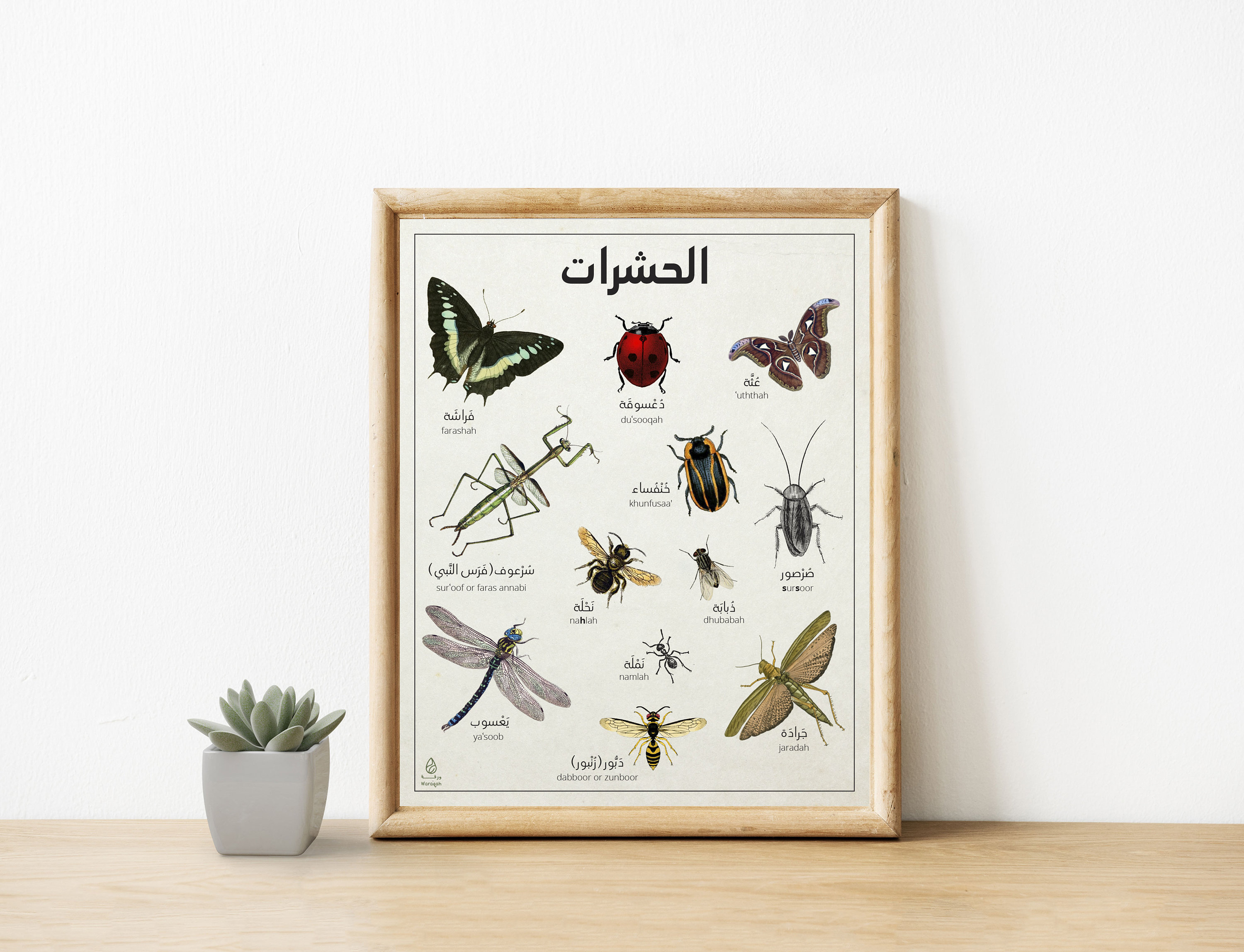 Arabic Insects Poster Downloadable Prints Educational Kids Children ...
