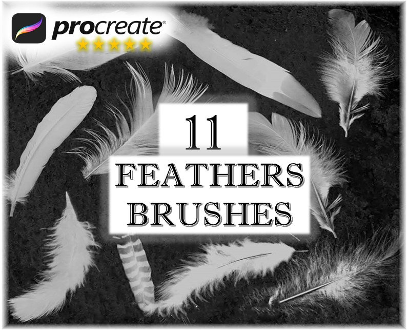 11 Feathers Brushes Set. Feathers Texture Set. Feathers Stamp. - Etsy