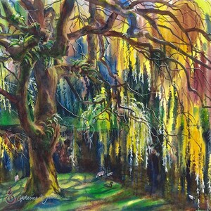 Weeping Willow Tree - Fine Art Print of Watercolor Painting, 11" X 17 ...