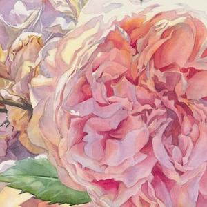 David Austin English Roses - Fine Art Print of Watercolor Painting - Etsy