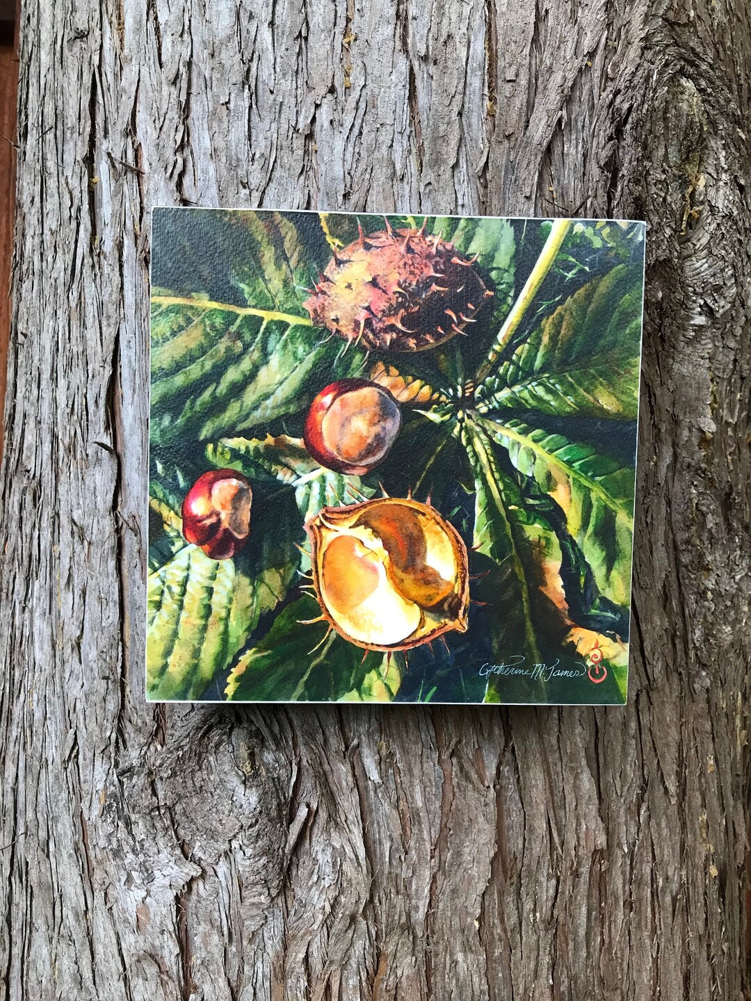 Chestnuts, Woodland Decor - Fine Art Print on Wood Panel, 8 X 8 X 1.5 ...