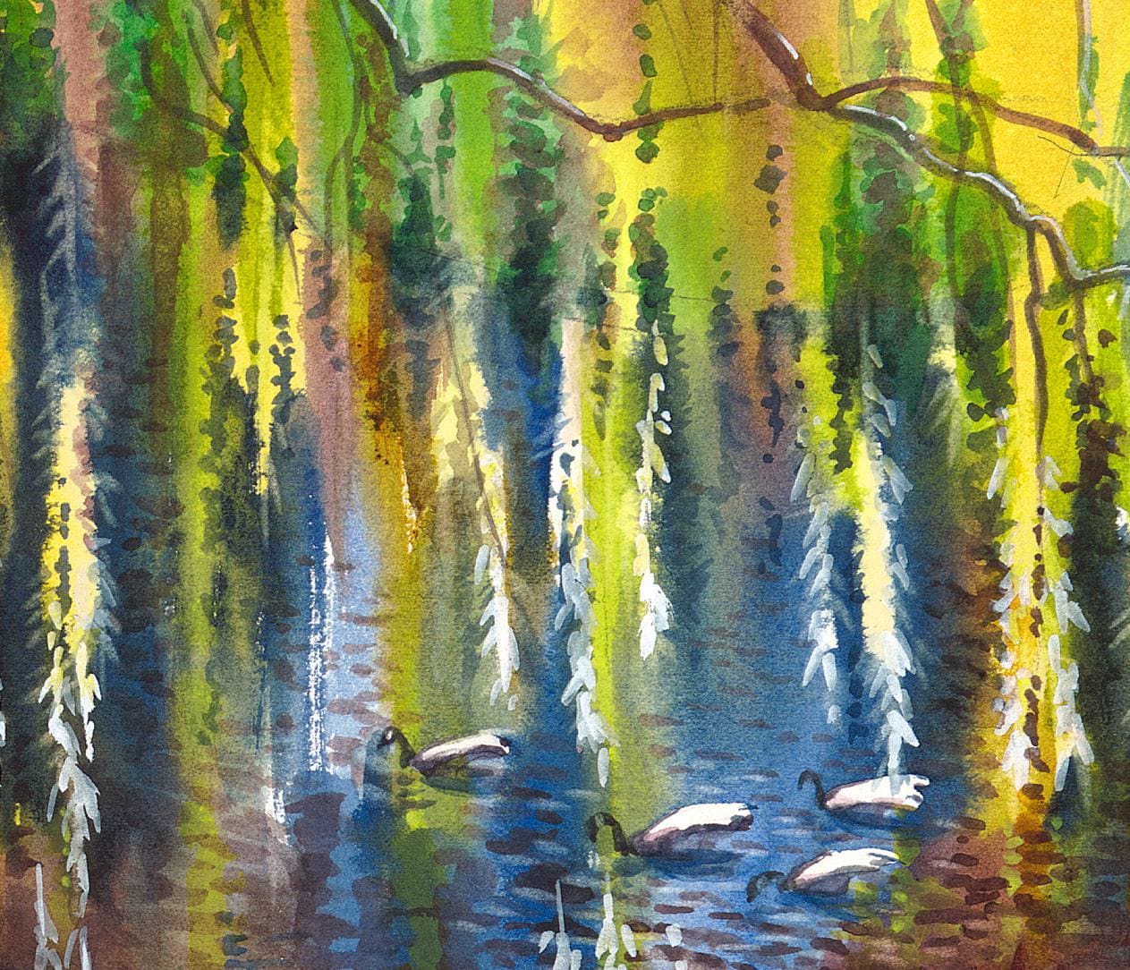 Weeping Willow Tree - Fine Art Print of Watercolor Painting, 11" X 17 ...