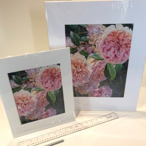 David Austin English Roses - Fine Art Print of Watercolor Painting - Etsy