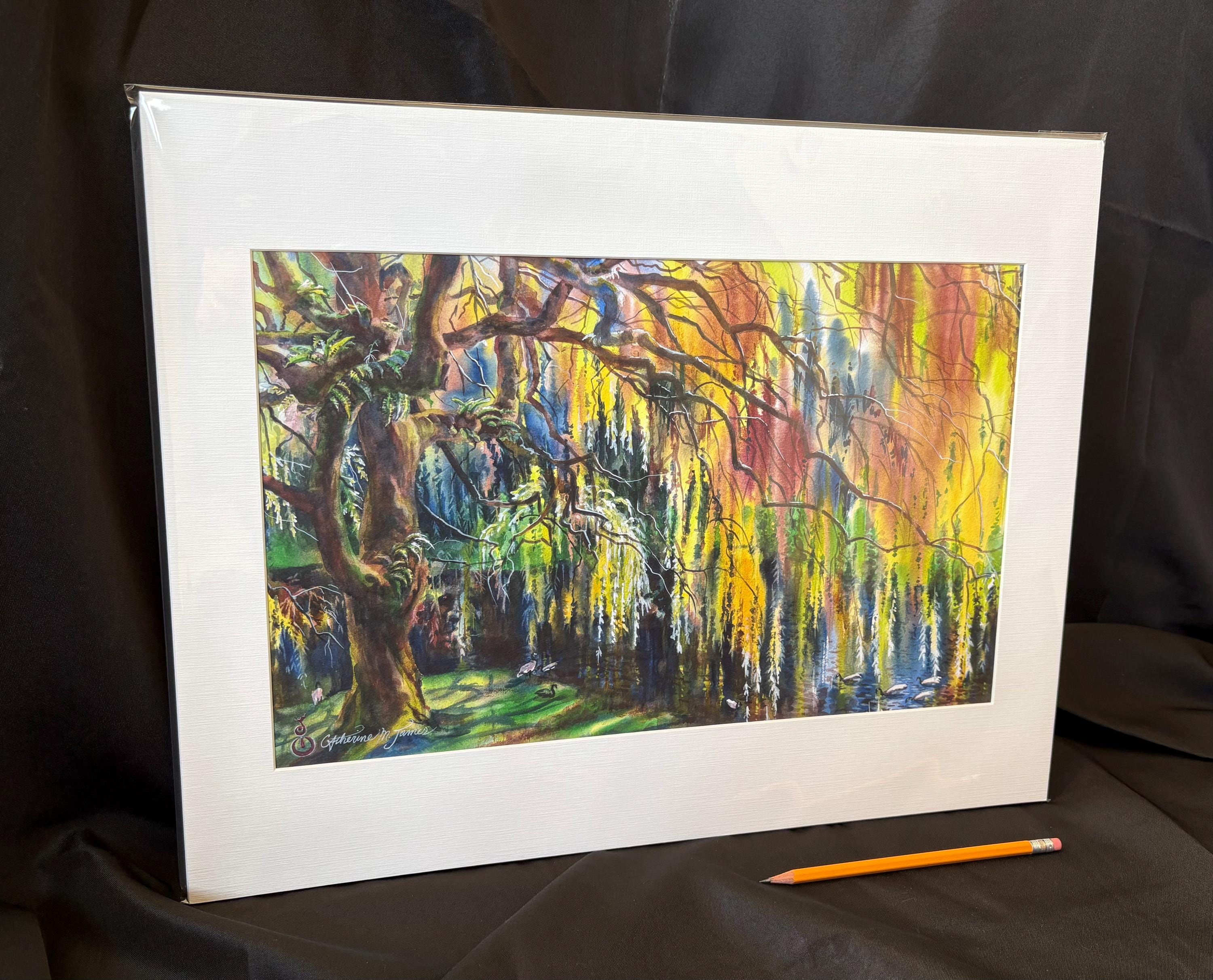 Weeping Willow Tree - Fine Art Print of Watercolor Painting, 11" X 17 ...