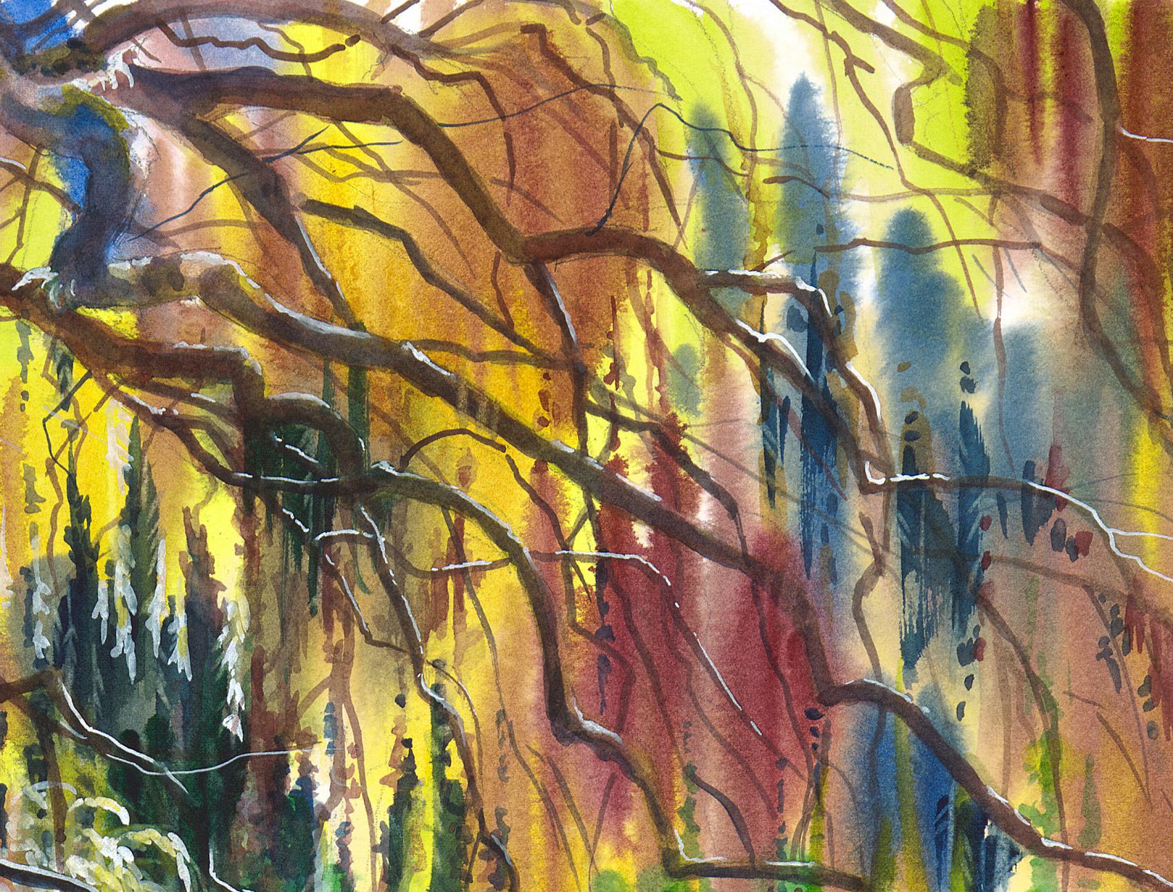 Weeping Willow Tree - Fine Art Print of Watercolor Painting, 11" X 17 ...