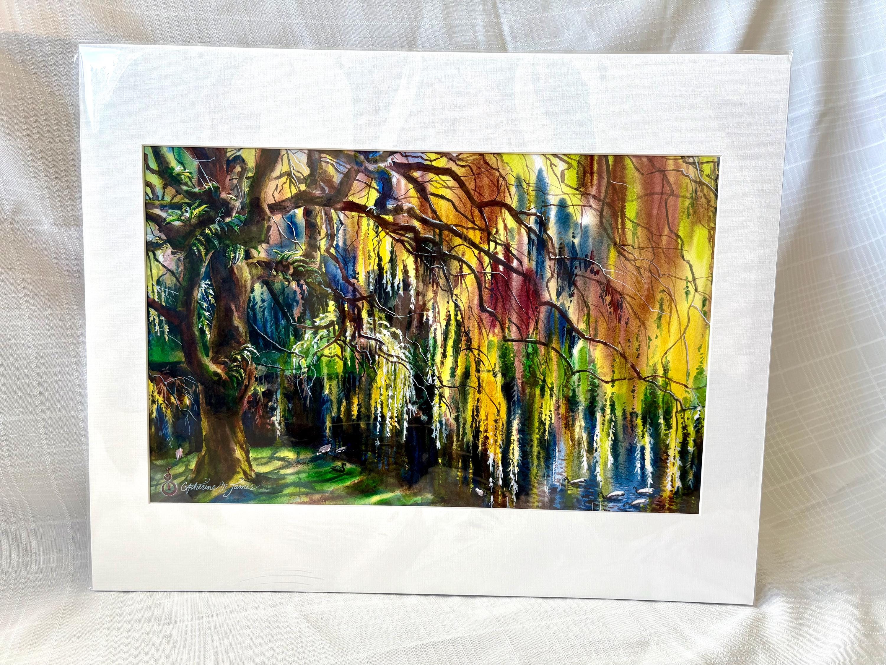 Weeping Willow Tree - Fine Art Print of Watercolor Painting, 11" X 17 ...