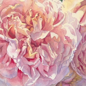 David Austin English Roses - Fine Art Print of Watercolor Painting - Etsy