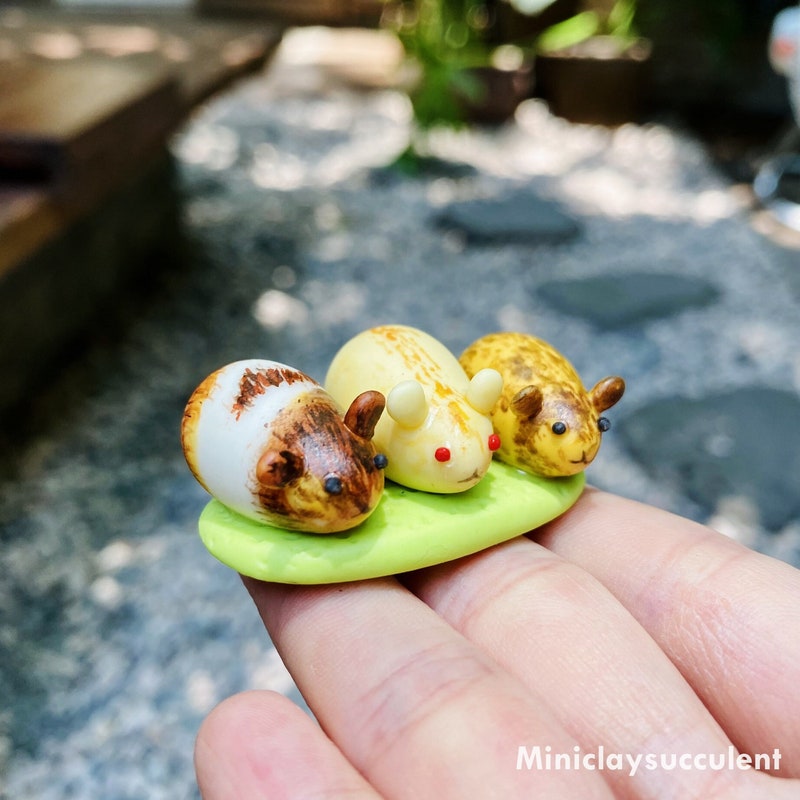 Miniature Hamster - Etsy