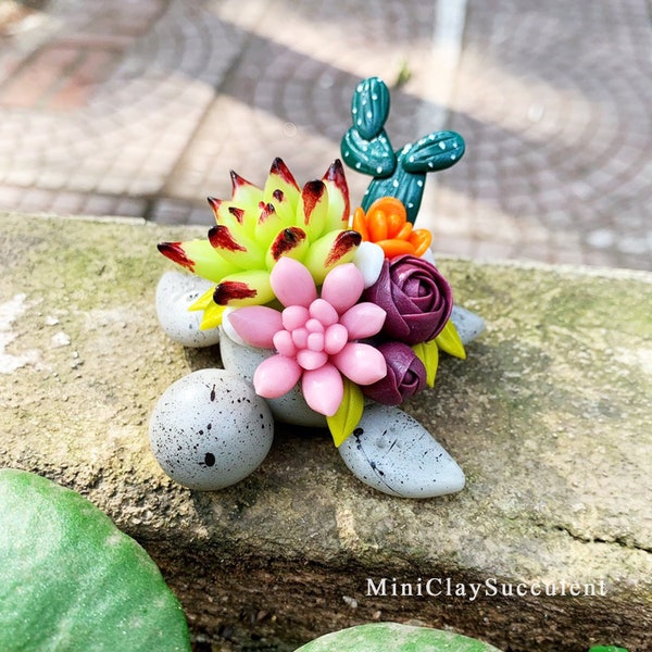 Turtle Cactus - Etsy