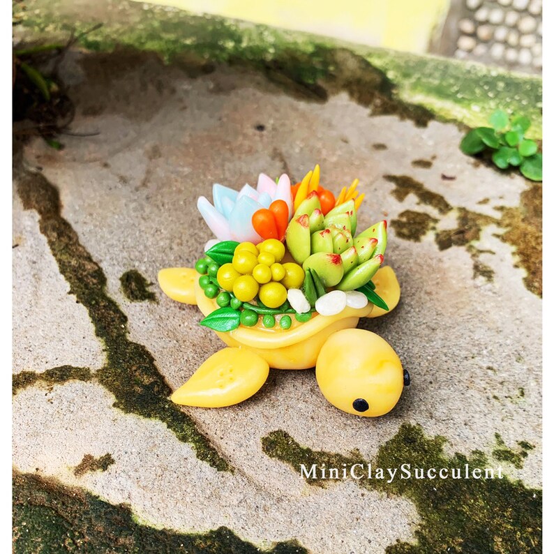 Miniature Pink Turtle Succulents Purple Crystals Turtle Toy - Etsy