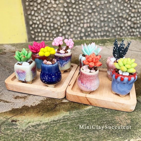 Mini Macetas Con Flores