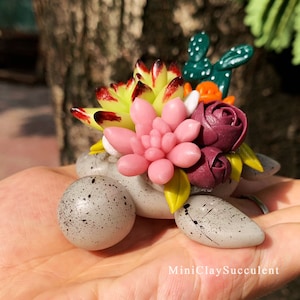 Clay Turtle Flower Art, Garden Turtle Cactus Succulents, Ranunculus ...