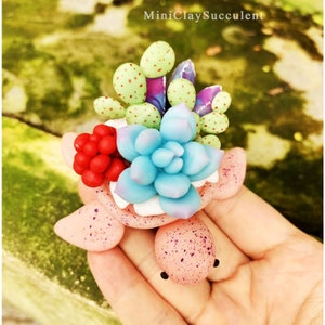 Clay Turtle Flower Art, Garden Turtle Cactus Succulents, Ranunculus ...