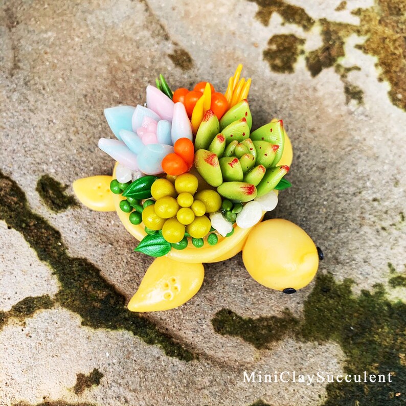 Miniature Pink Turtle Succulents Purple Crystals Turtle Toy - Etsy