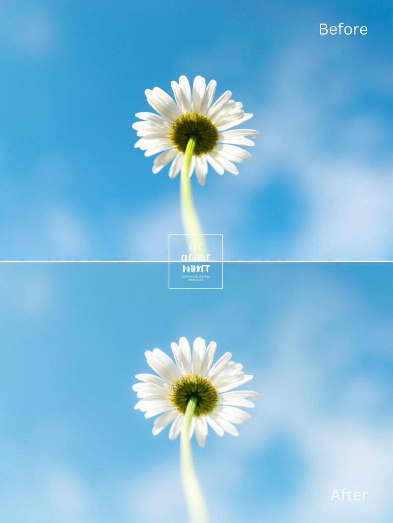 20 Spring Tones Presets and 15 Tools. Professional Lightroom Desktop ...