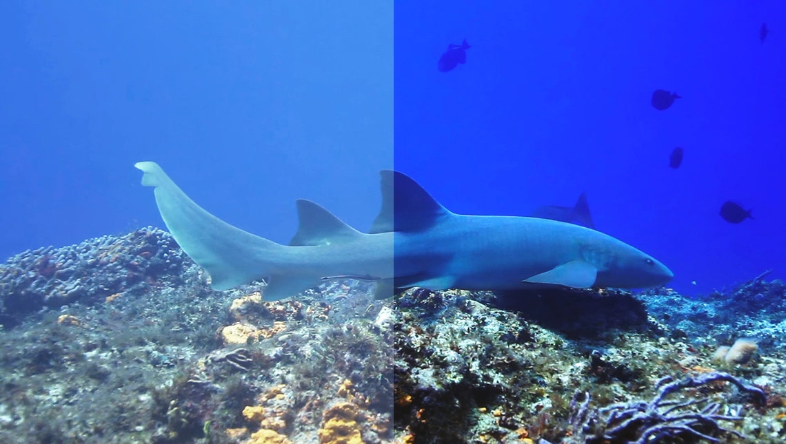 Underwater Luts Pack - Etsy Canada