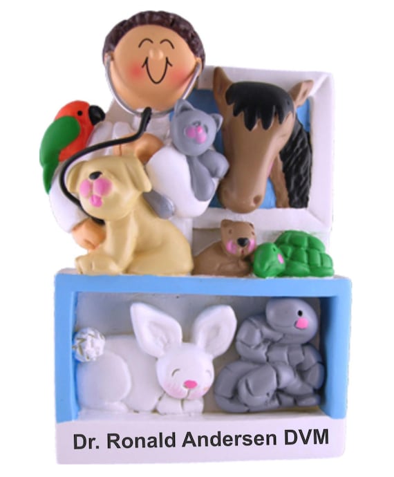 Male VETERINARIAN VET Ornament | Etsy