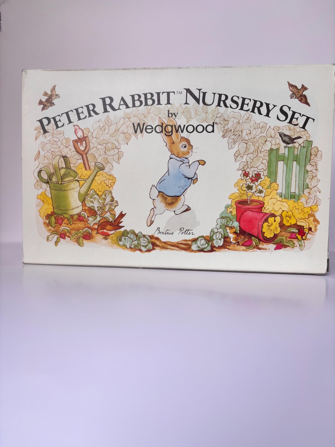 Wedgwood Peter Rabbit Mug, Plate and Bowl - Beatrix Potter Designs ...