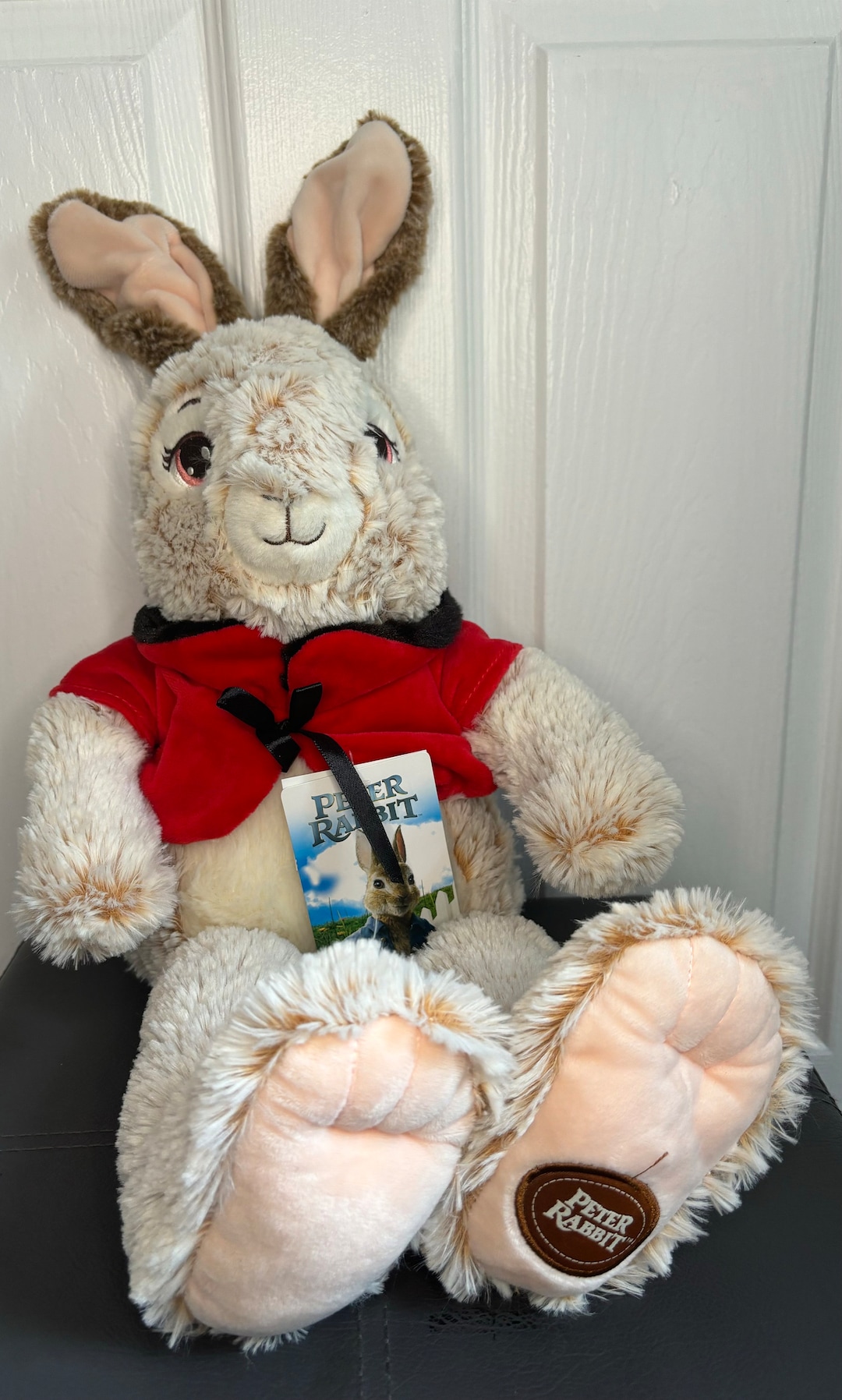 Peter Rabbit Plush Toy - Beatrix Potter - FW & Co. - Dandee ...