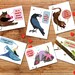 Cute + Unique Hand Drawn Punny Animal Themed Printable Valentine's Day ...