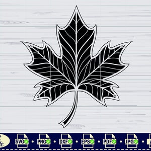 Maple Leaf SVG 1 Leaf Svg Autumn Svg Maple Leaf Clipart - Etsy