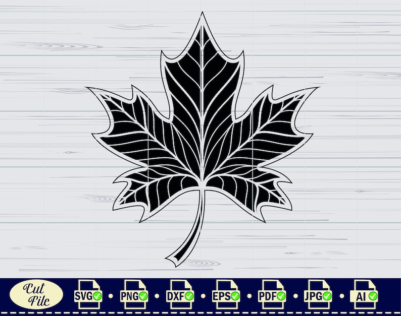 Maple Leaf SVG 1 Leaf Svg Autumn Svg Maple Leaf Clipart - Etsy