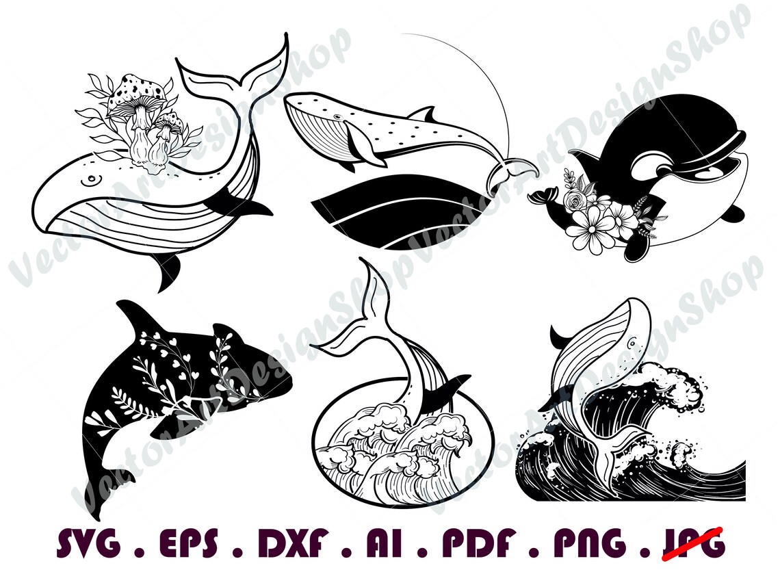Whale SVG Bundle 1 Sea World Svg Whale Floral SVG Dancing | Etsy