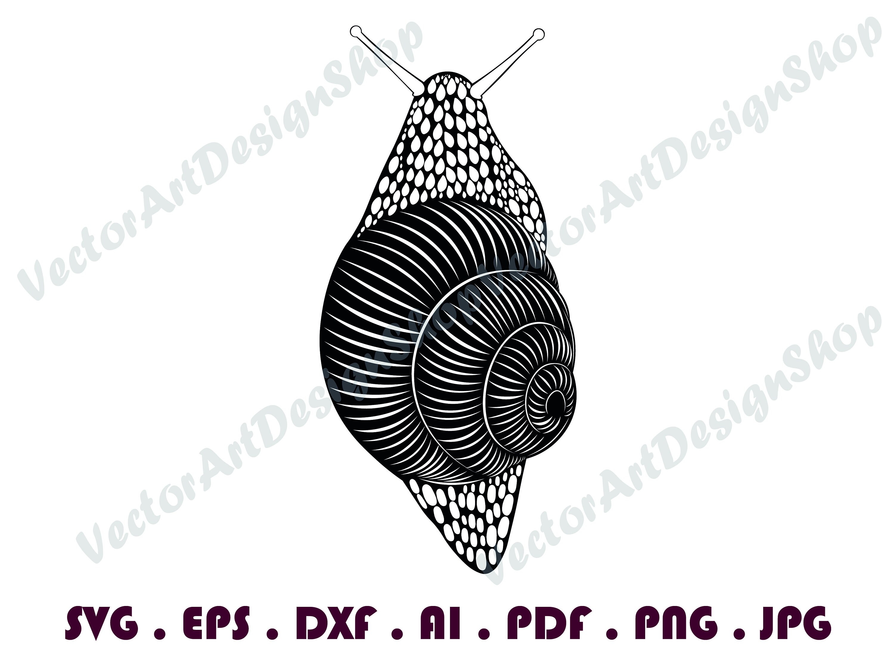 Snail SVG Garden Snail Svg Snail Clipart Snail Files for - Etsy Australia