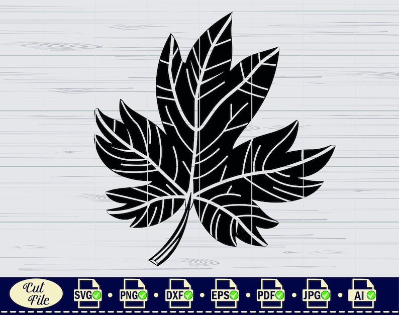 Maple Leaf SVG 1 Leaf Svg Autumn Svg Maple Leaf Clipart - Etsy